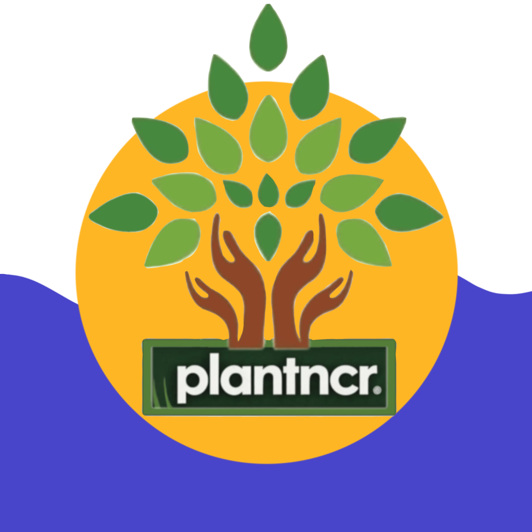 All plants – Plantncr
