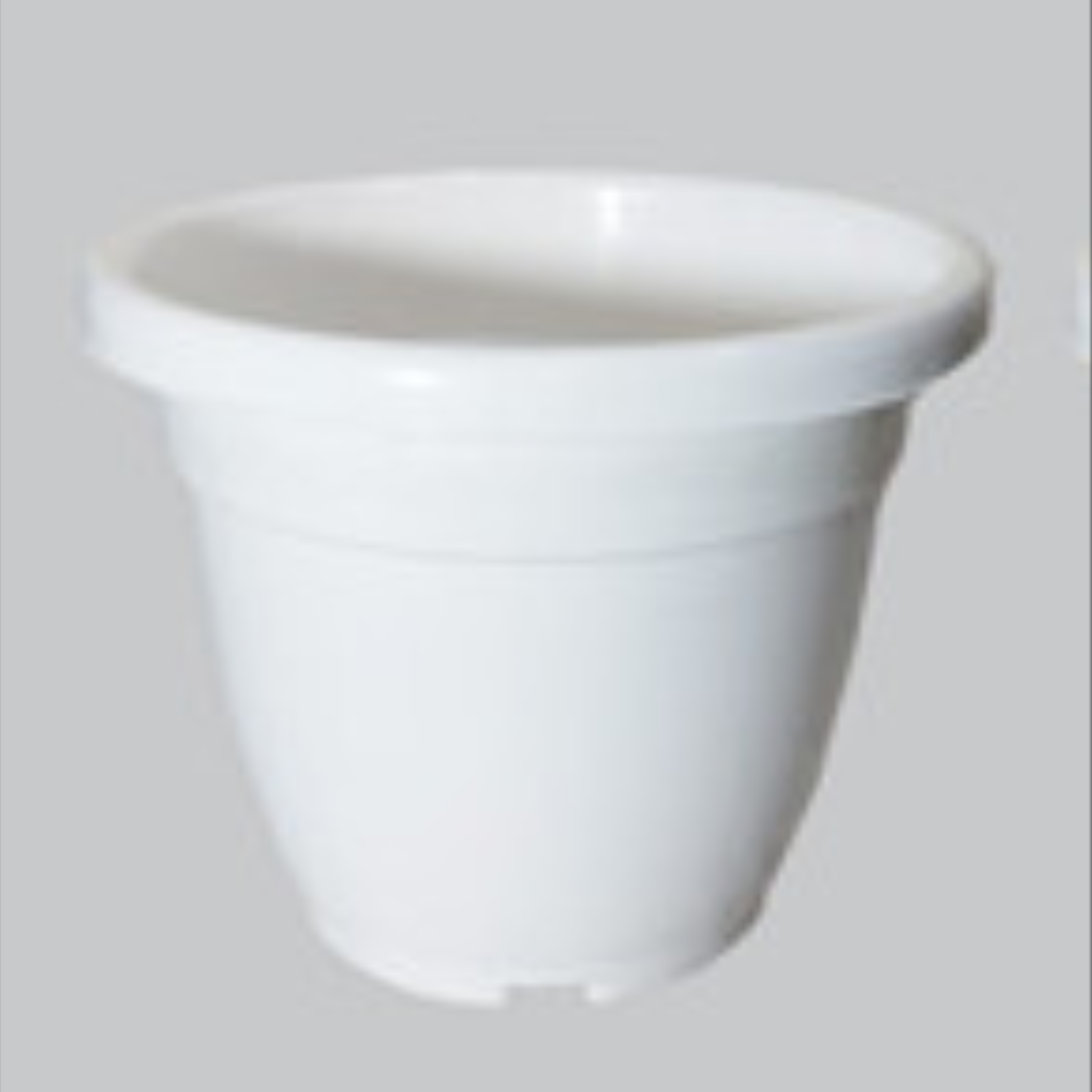white plastic pot 4 inch – Plantncr